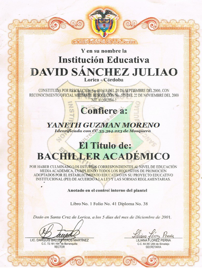 Diploma Yaneth | PDF