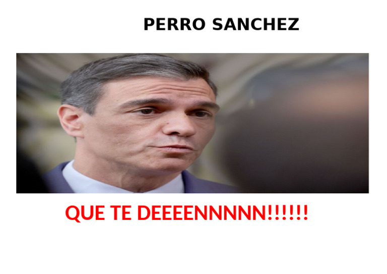 Perro Sanchez | PDF