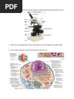 Anatomy Lab Practical 1 Study Guide | PDF | Skeletal Muscle | Muscle
