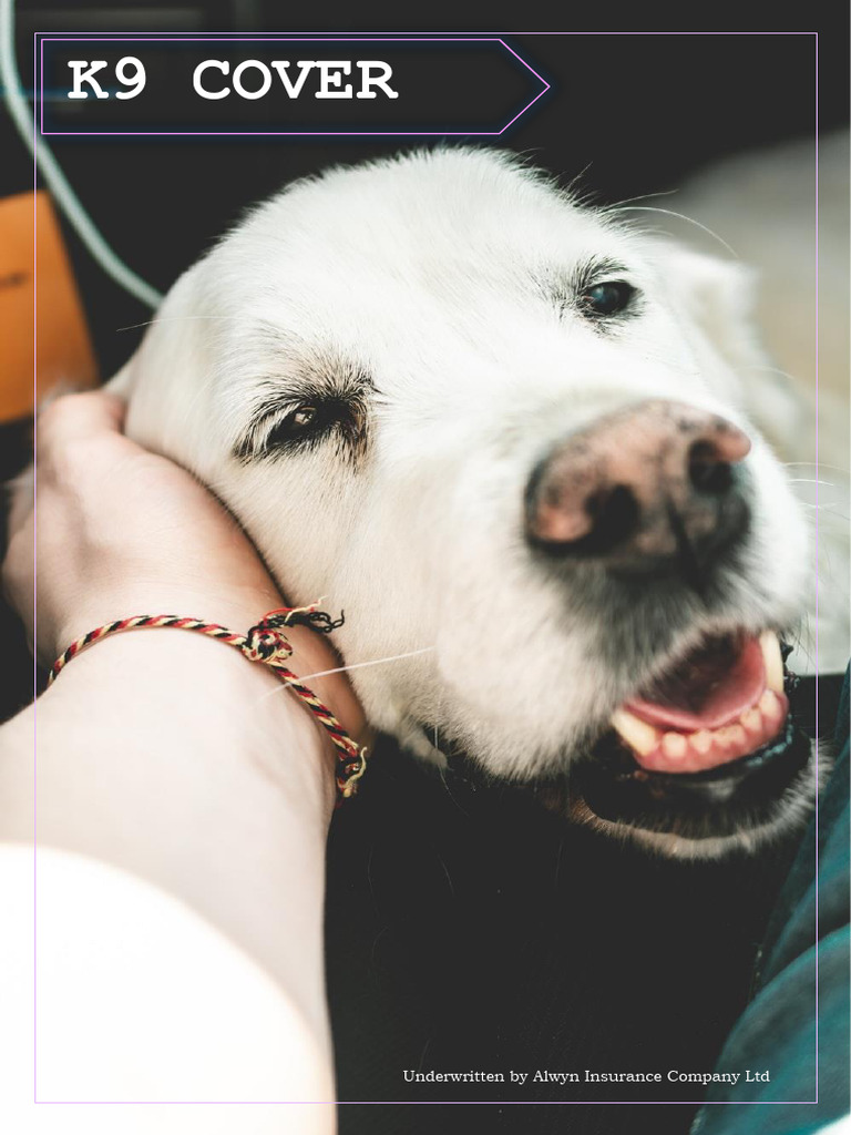 Alwyn Pet Insurance Policy Details | PDF | Damages | Insurance