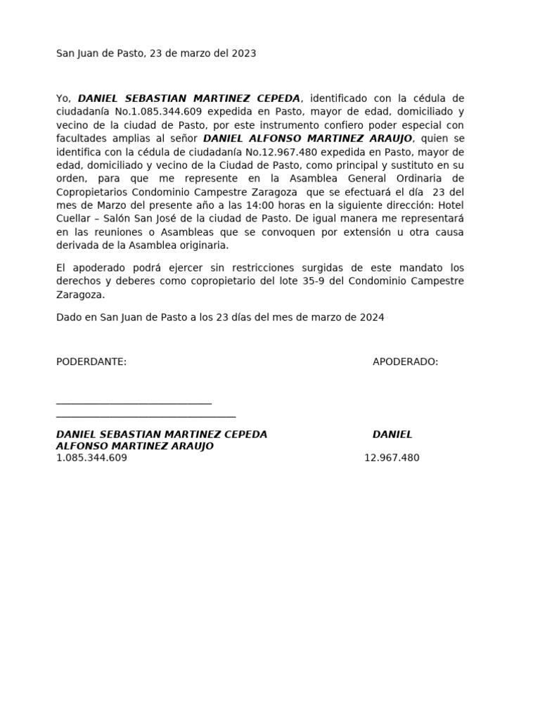 Modelo para Otorgar Poder de Representacion | PDF