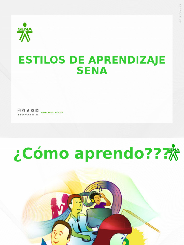 Estilos de Aprendizaje1 | PDF | Aprendizaje | Aprendiendo estilos