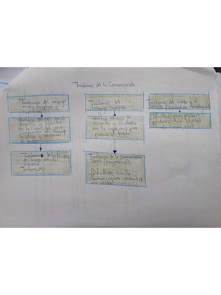 Trastorno de La Comunicación | PDF