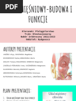 Anatomia Swini Atlas Interaktywny | PDF