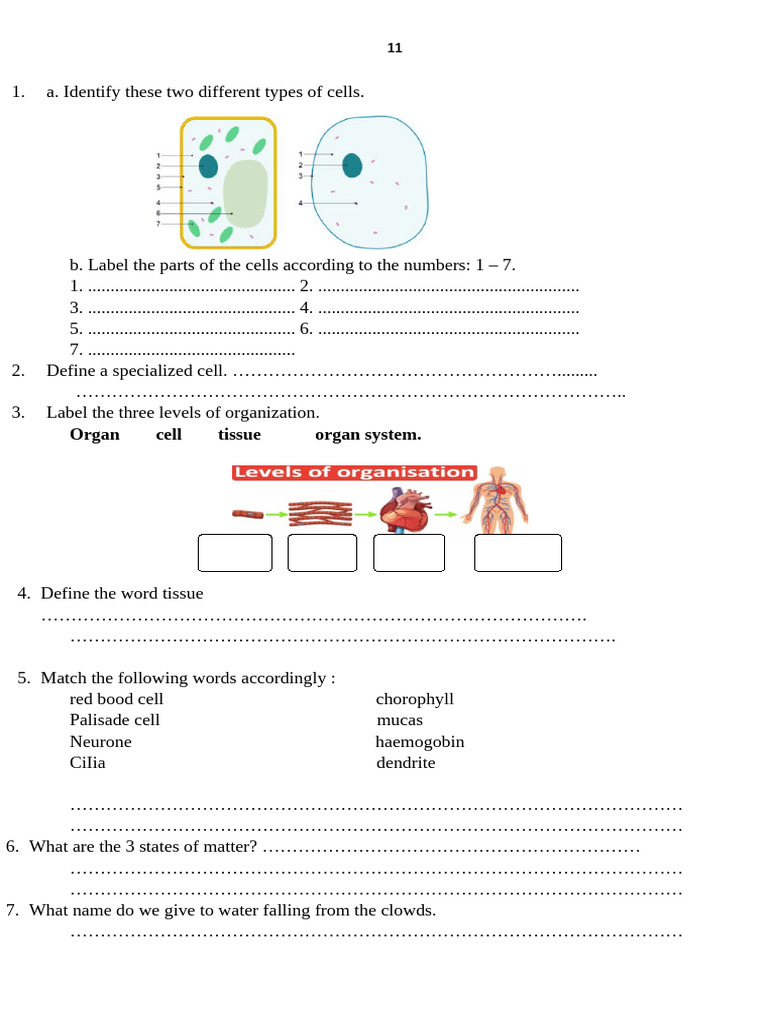 Science Grade 7 - Homework Oct 2024 | PDF | Planets | Weight