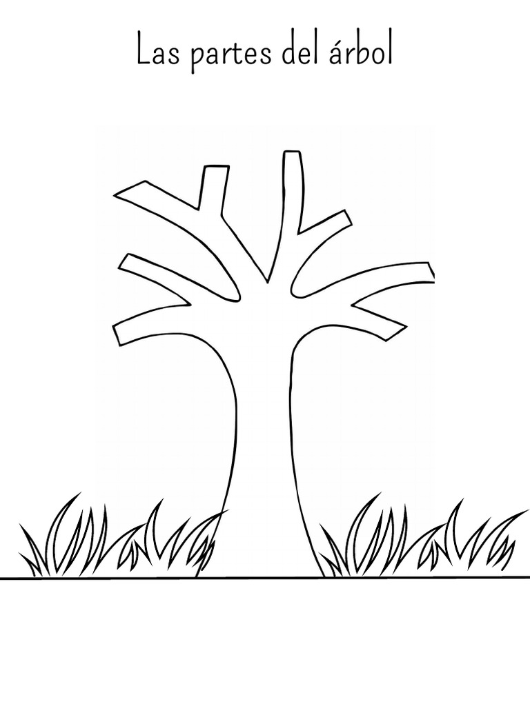 Las Partes Del Árbol | PDF | Ciencia y matemáticas