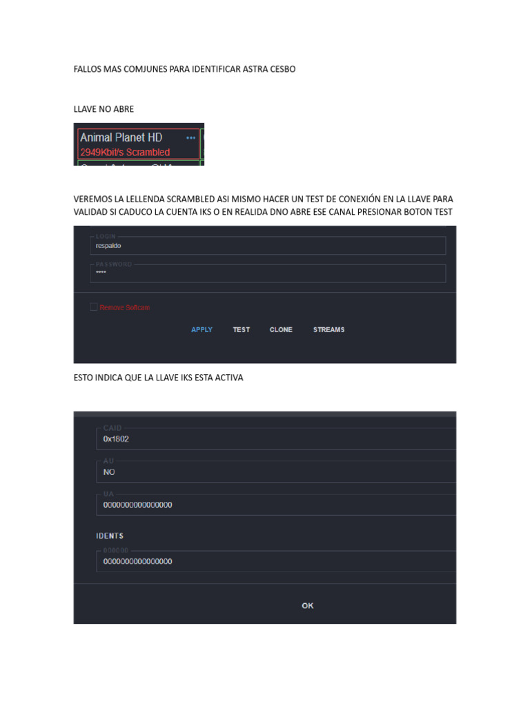 Errores Comunes en Astra Cesbo | PDF | Informática