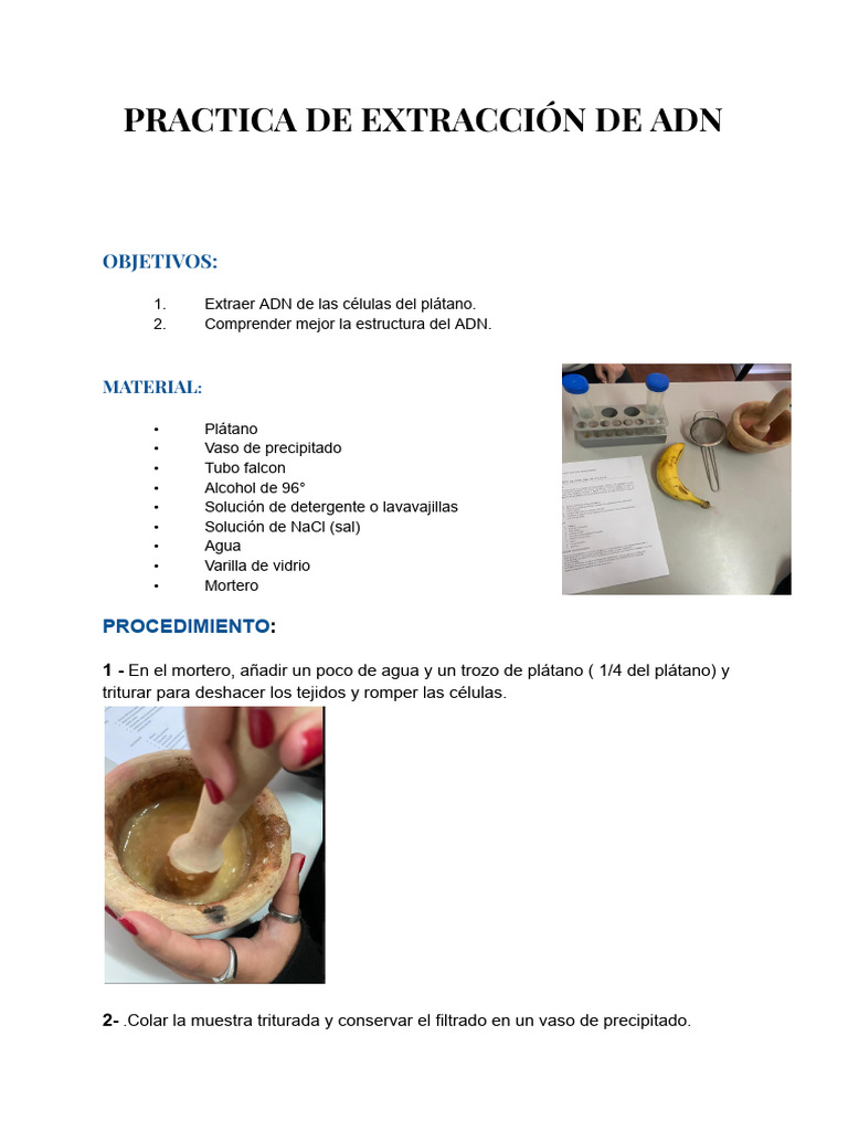 Práctica Adn | PDF