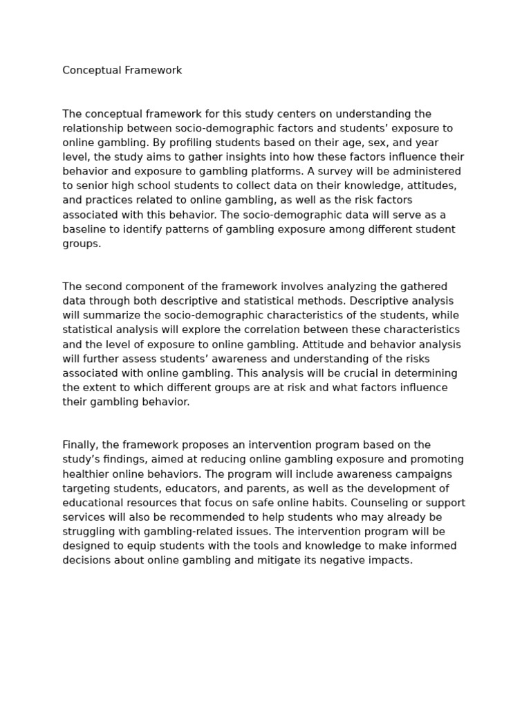 Conceptual Framework Explanation | PDF