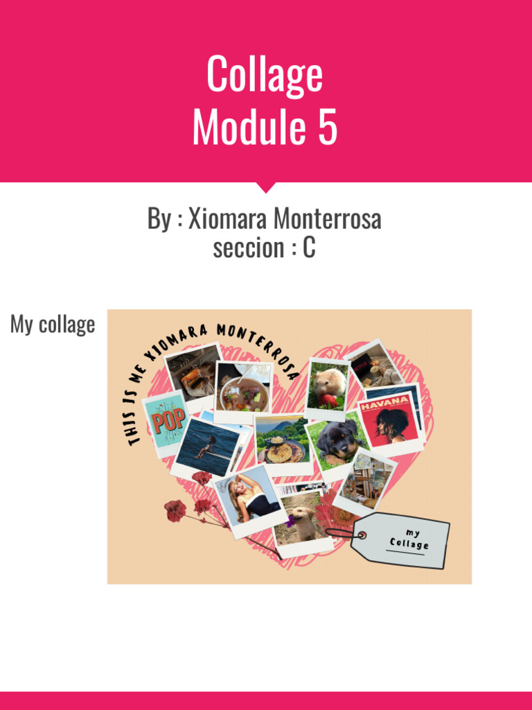 Collage Module 5 | PDF