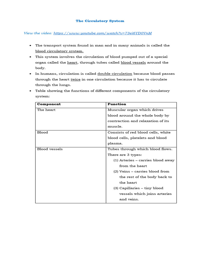 NOTE 1 - Intro To Circulatory System | PDF