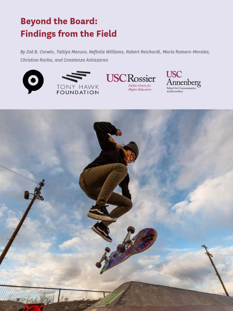 Beyond The Board Findings From The Field Report | PDF | Survey Methodology | Race And Ethnicity ...