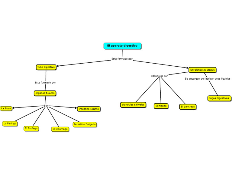 Mapa Conceptual Informatica | PDF