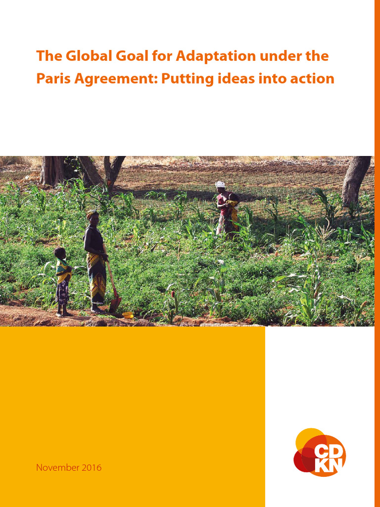 Global Adaptation Goals Paper | PDF | Climate Change | United Nations ...