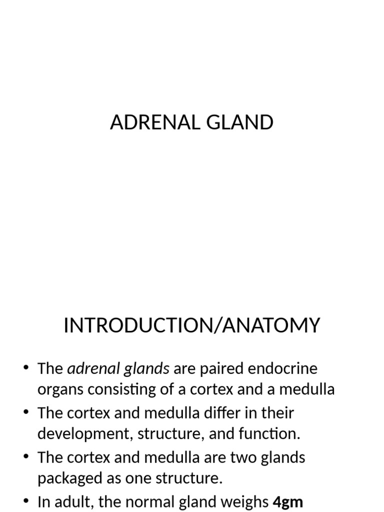 Adrenal Gland | PDF | Adrenal Gland | Adrenocorticotropic Hormone