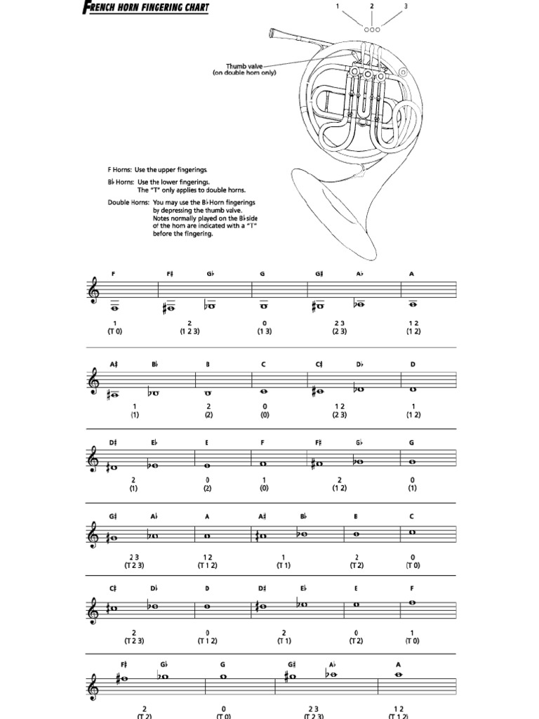 French Horn | PDF
