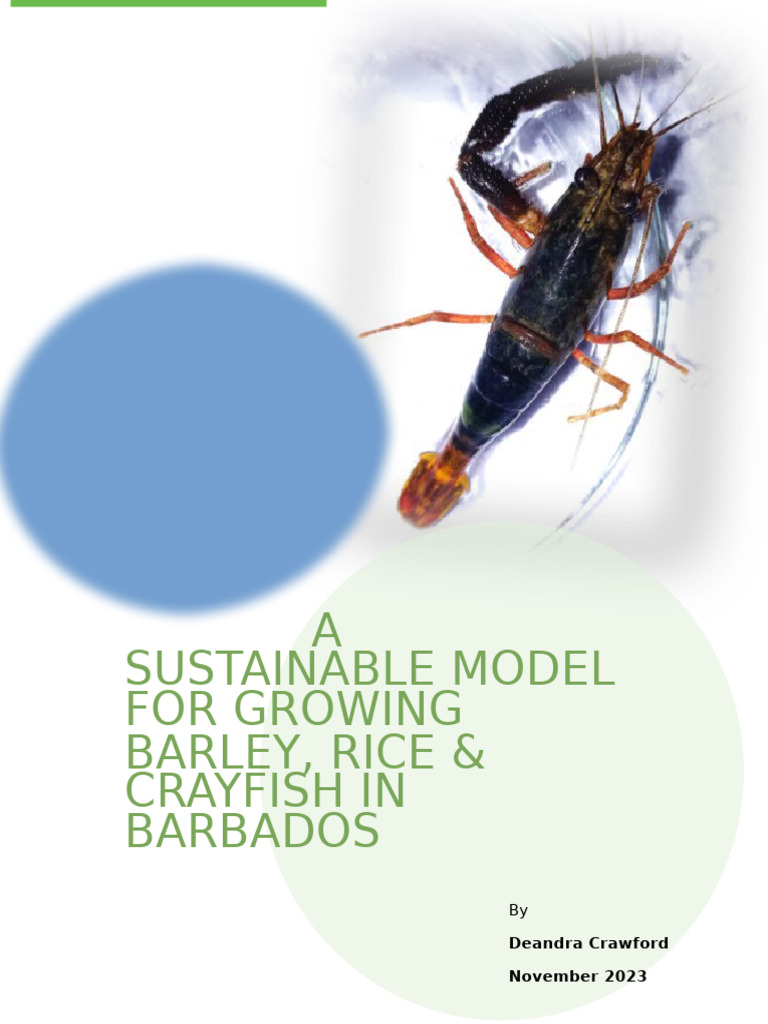 Sustainable Farming Model for Barbados | PDF | Agriculture | Cereals