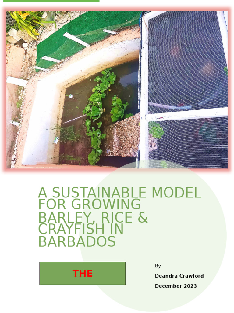 Sustainable Farming of Barley, Rice & Crayfish | PDF | Seed | Soil