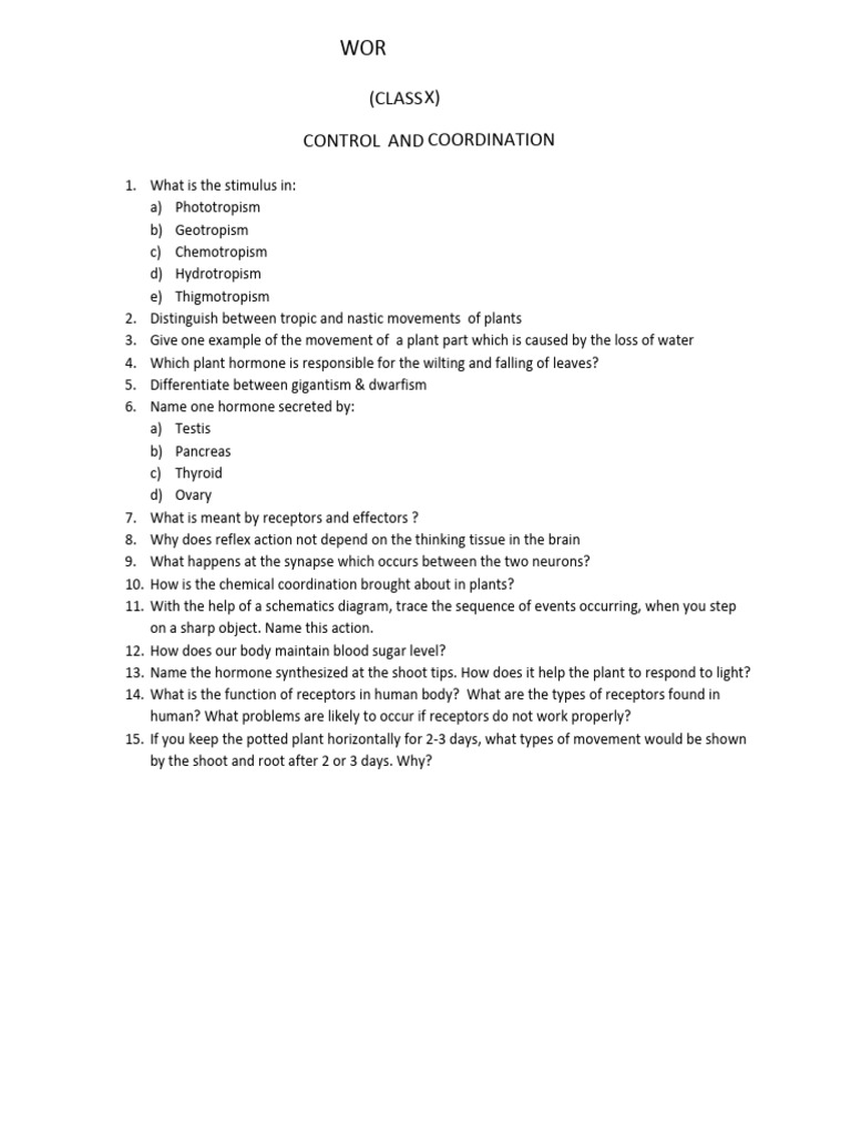 Plant Control and Coordination Worksheet | PDF