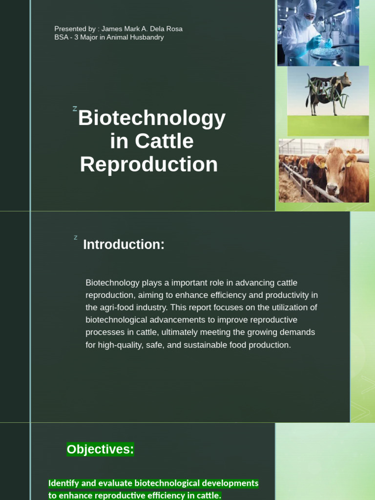 Biotechnology in Cattle Reproduction Presented by JM | PDF ...