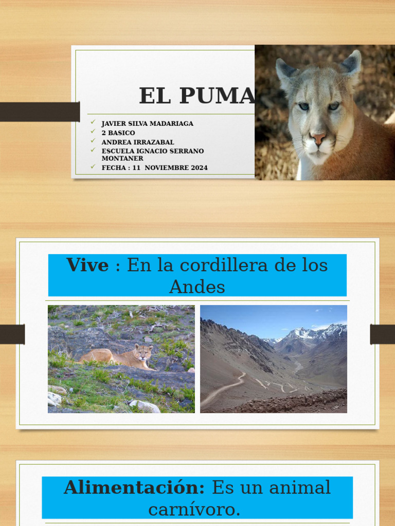 Presentación El Puma Javier Silva Madariaga | PDF