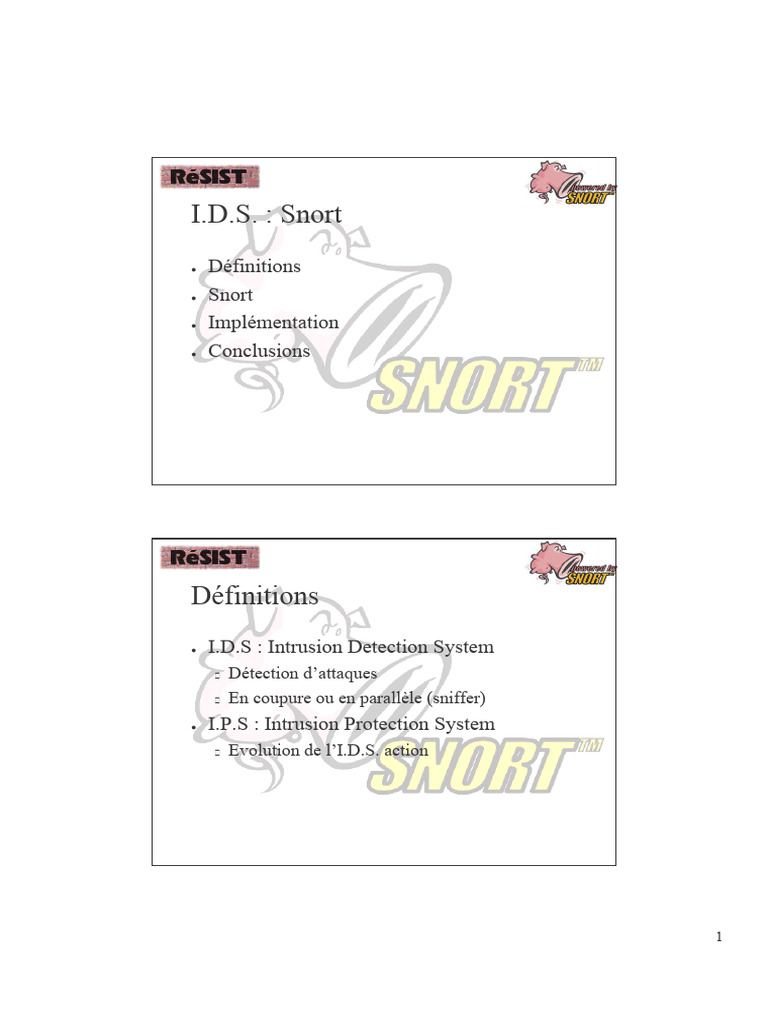 Snort | PDF