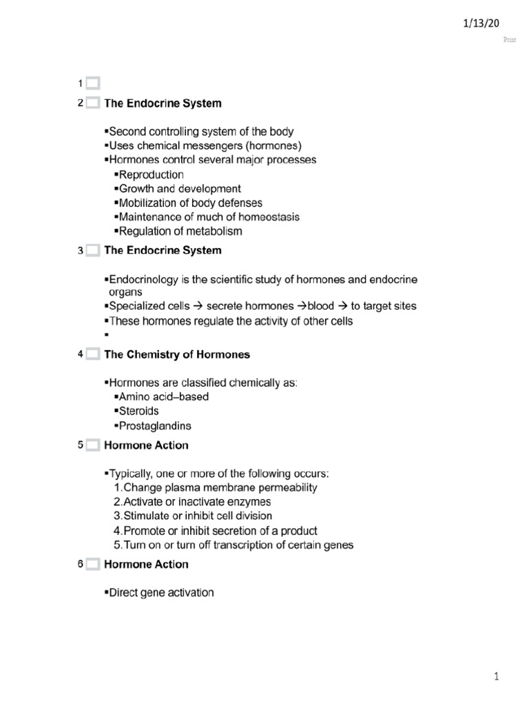 Endocrine System Notes - PDF - Schoology | PDF