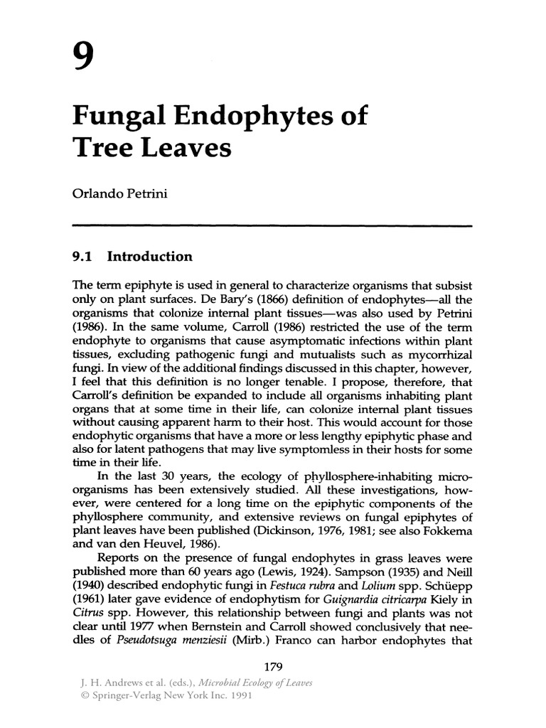 Cap 9 - Fungal Endophytes of Thee Leaves | PDF | Fungus | Organisms