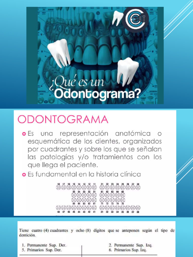 Clase Odontograma | PDF