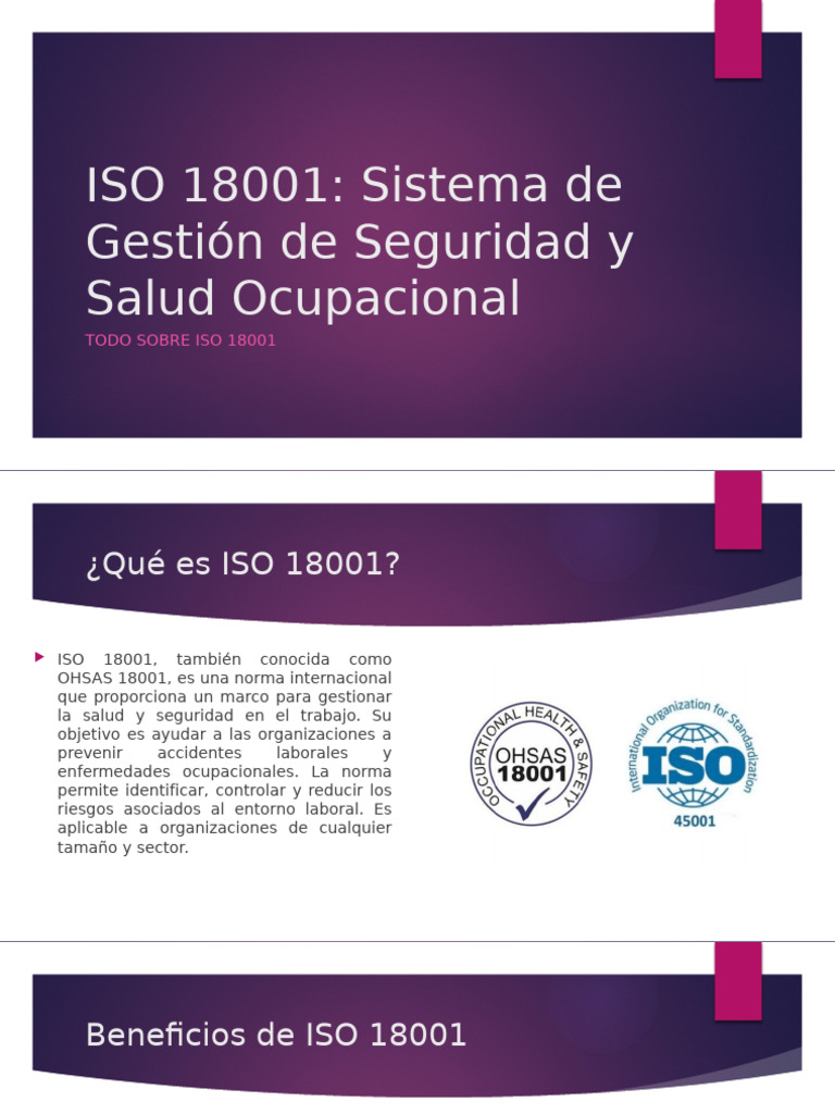 Iso 18001 | PDF