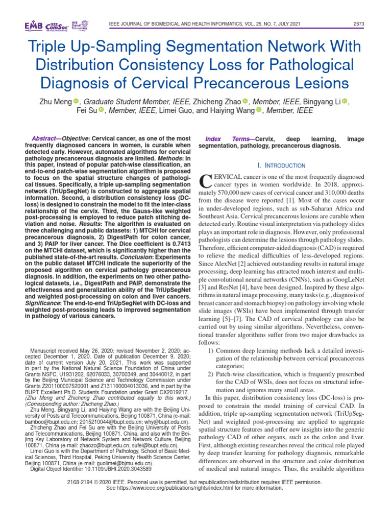 Triple Up-Sampling Segmentation Network With Distribution Consistency Loss For Pathological ...