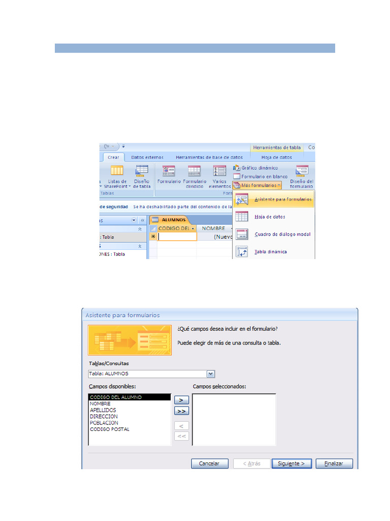 Practica 03 Access | PDF | Botón (Computación) | Software
