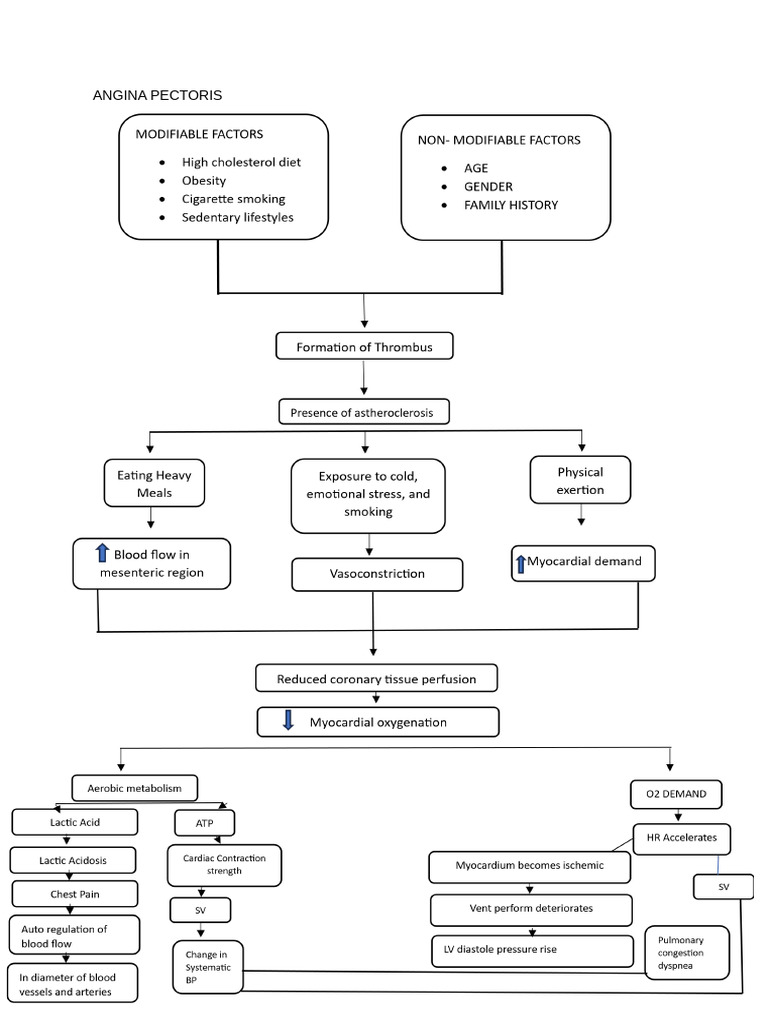 Angina Pectoris | PDF