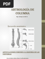 Articulaciones y Ligamentos de La Columna Vertebral | PDF