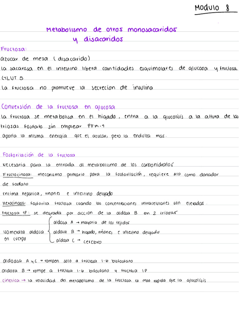 Módulo 8 | PDF | Fructosa | Metabolismo
