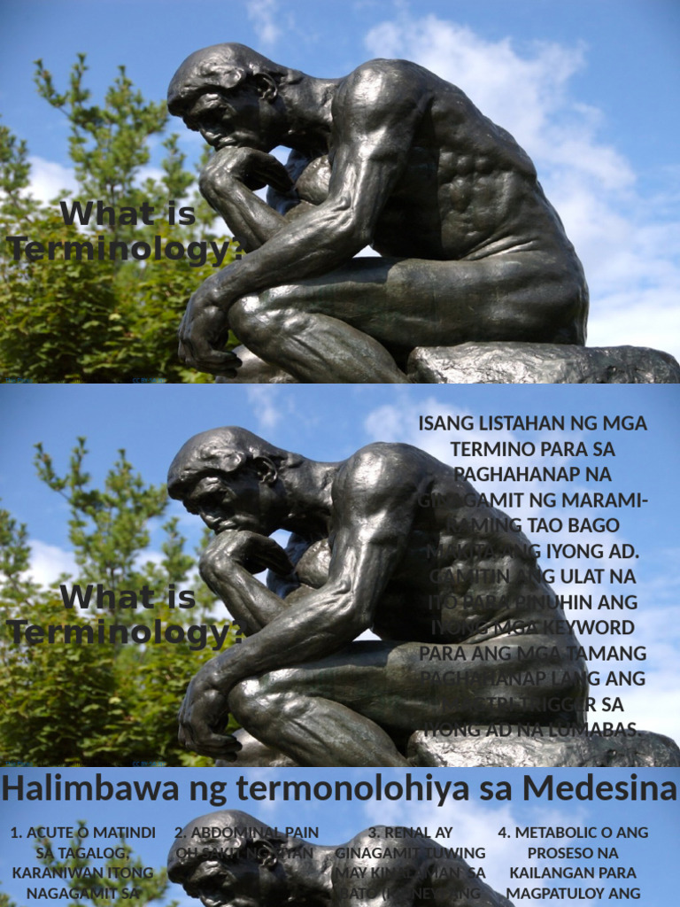 AP Terminology Report | PDF