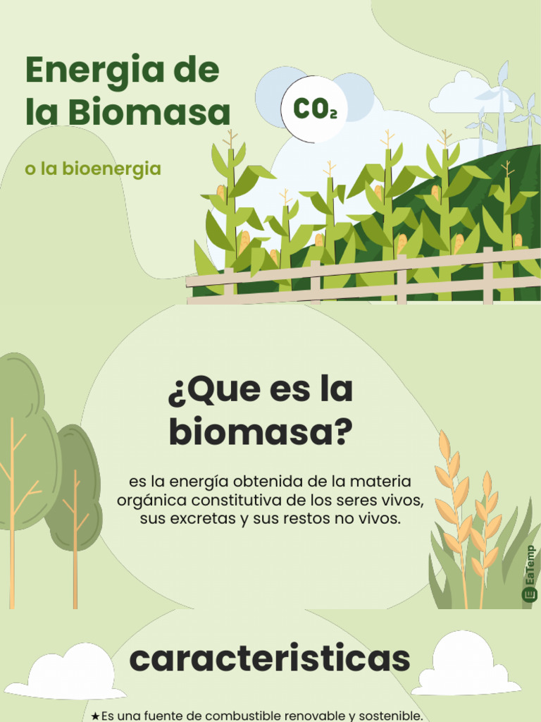 Biomasa - TIPULA - GRUPO 8 | PDF | Biomasa | Biocombustible