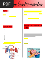 Precórdio | PDF | Coração | Especialidades médicas