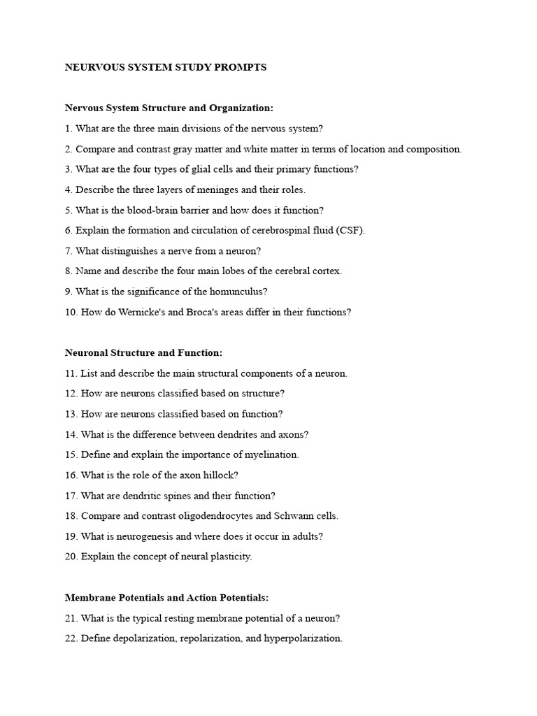 Neuro Study Questions | PDF | Neuron | Action Potential