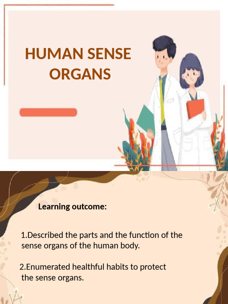 Human Sense Organs | PDF | Eye | Ear