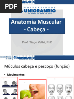Músculo Orbicular da Boca: Funções e Estética | PDF | Boca | Anatomia