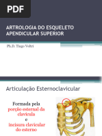 Cíngulo Do Membro Superior | PDF | Membros (anatomia) | Anatomia humana