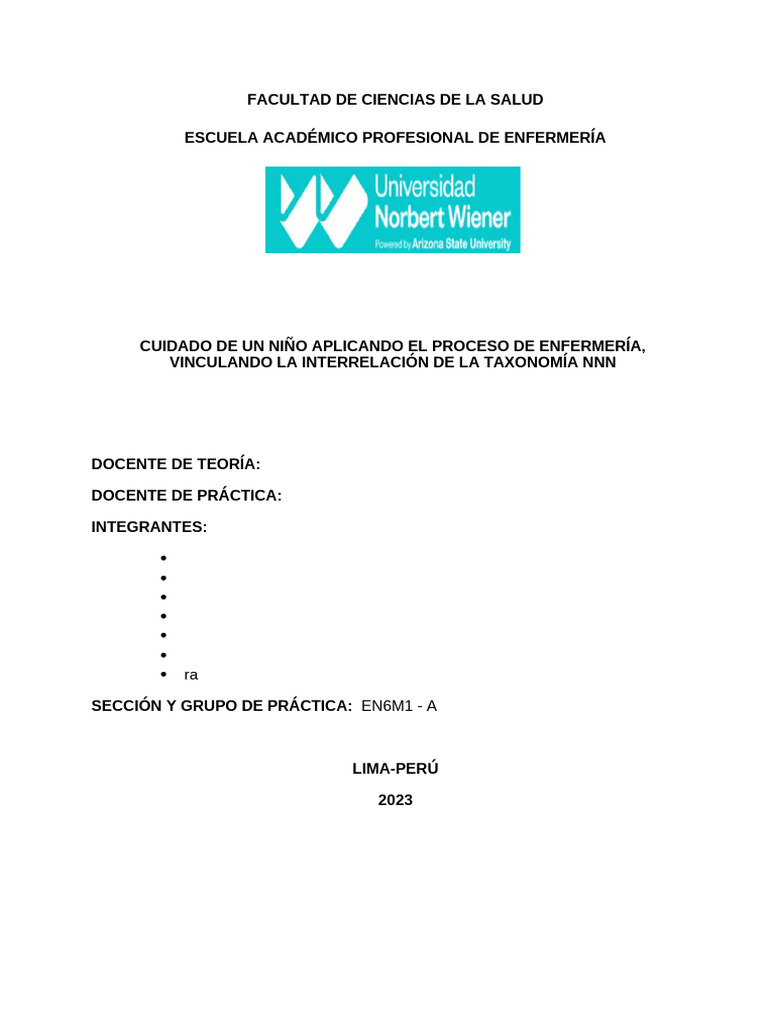 Estructura Del Pae 2024 | PDF | Enfermería | Ojo