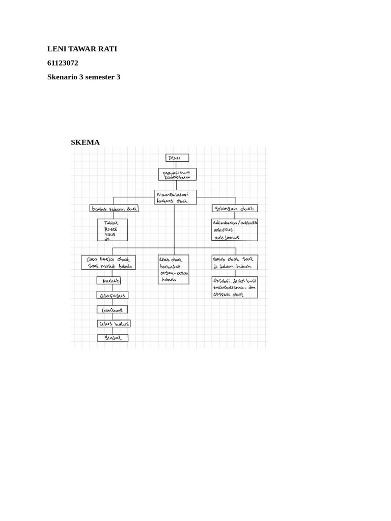 Leni Tawar Rati Skenario 3 (DDT) | PDF