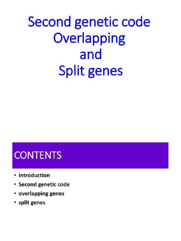 Split Genes | PDF