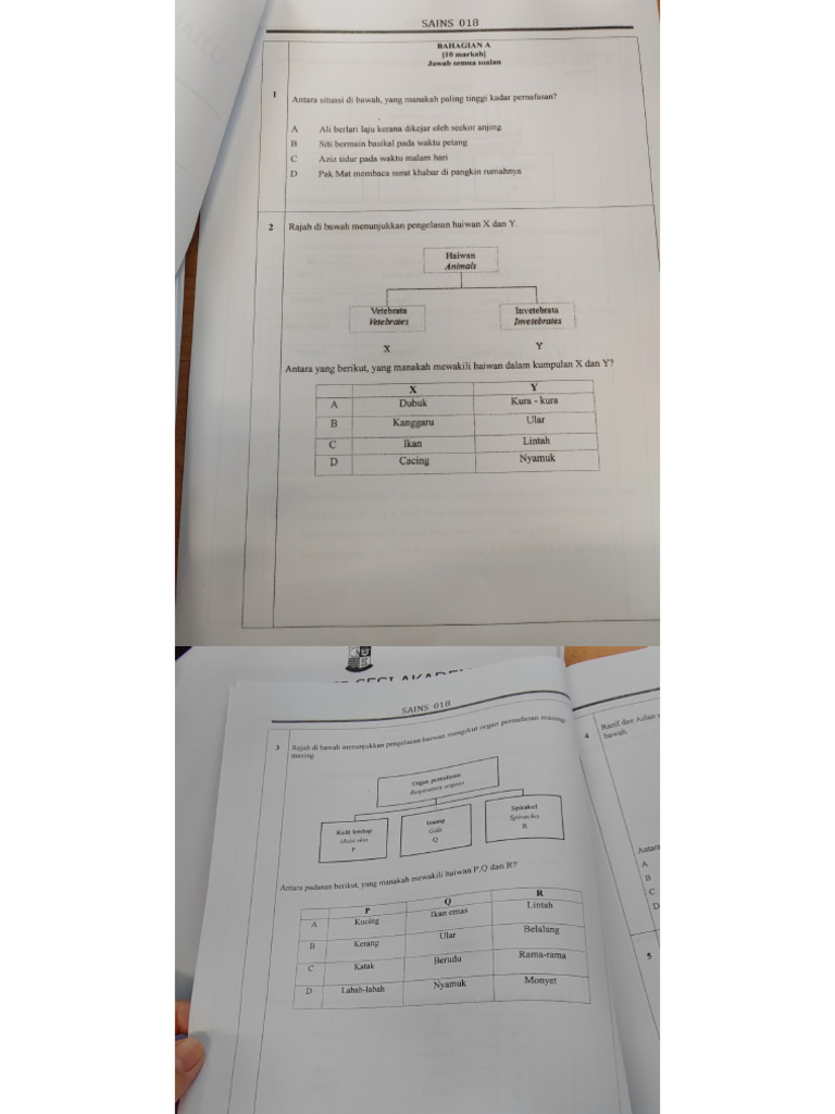 Contoh Soalan SN 1 | PDF
