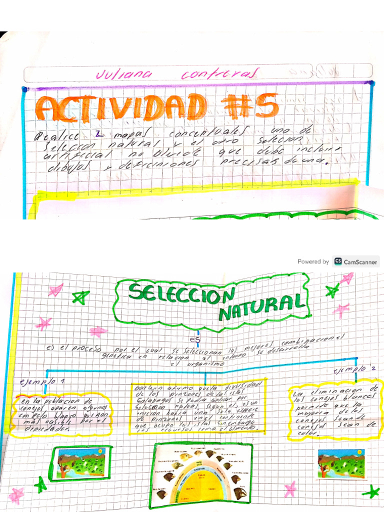 Actividad #5 de Dos Mapas Conceptuales Juliana Contreras | PDF
