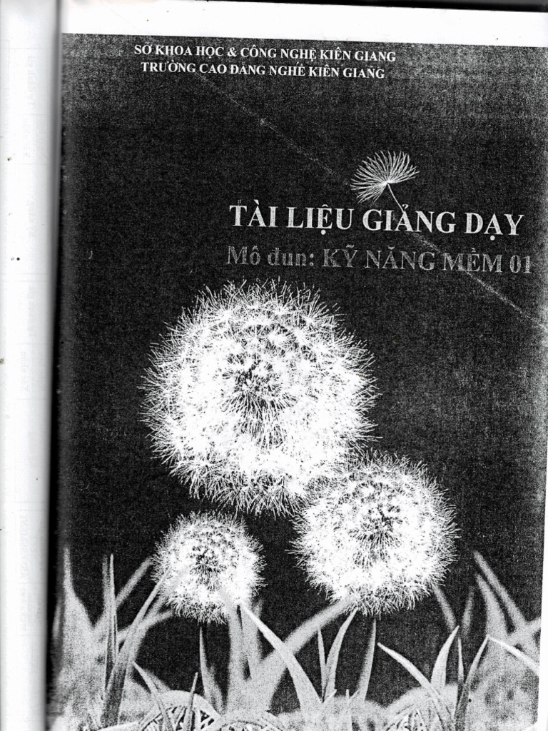 BG Ky Nang Mem | PDF