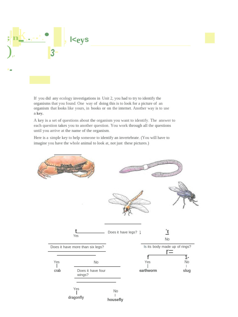 Checkpoint Science 9 CB. U 7 Inheritance | PDF | Sheep | Charles Darwin
