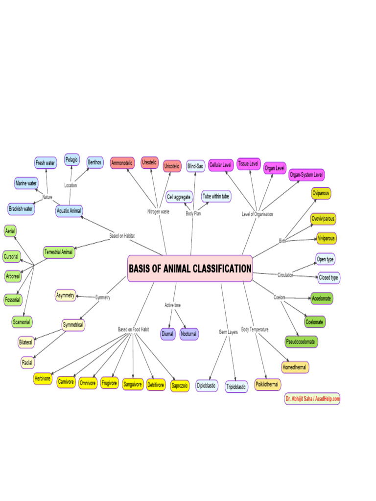 Mind Map CBSE Class 11 Chapter 4 Animal Kingdom Basis of Animal ...